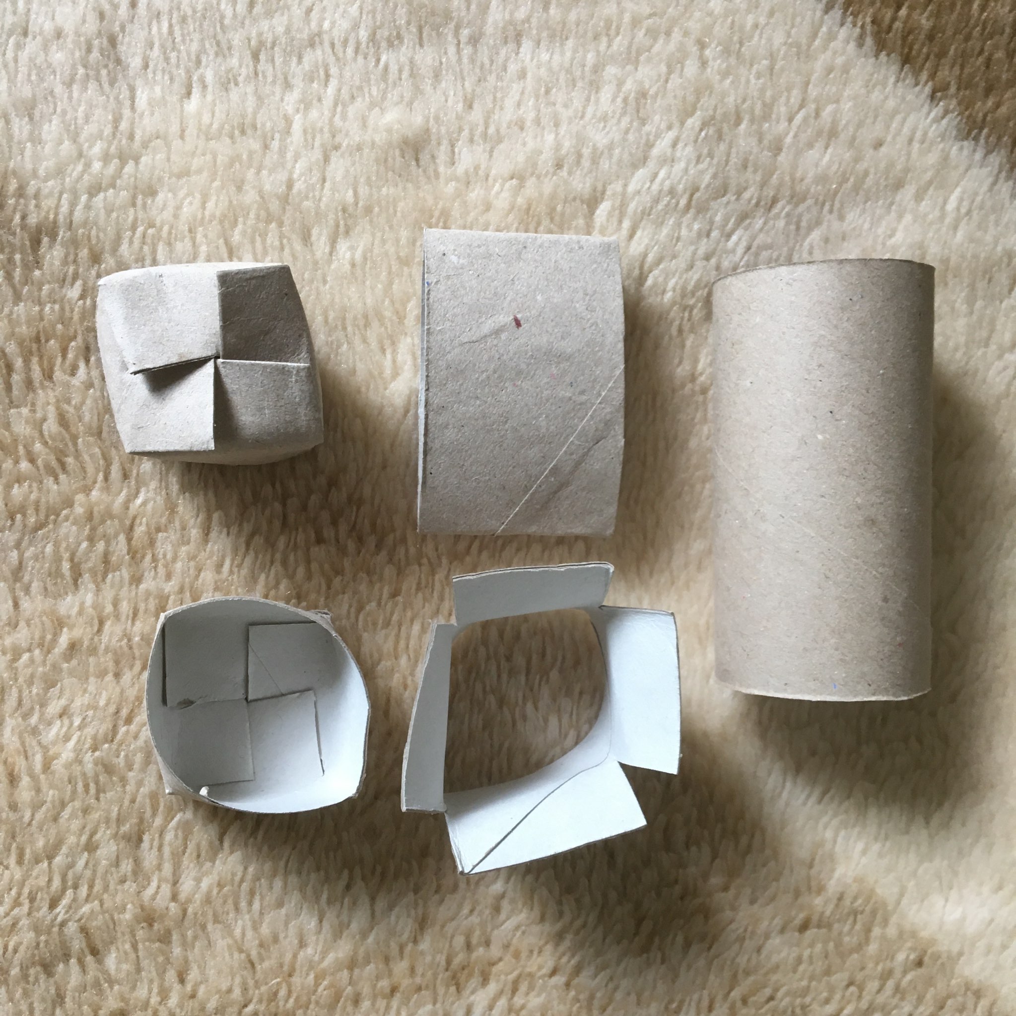 Biodegradable DIY Plant Pots – Egeria House